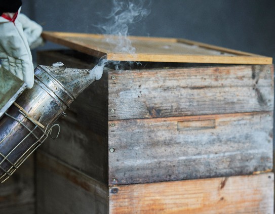 P&CHIVES | Produtos de Apicultura